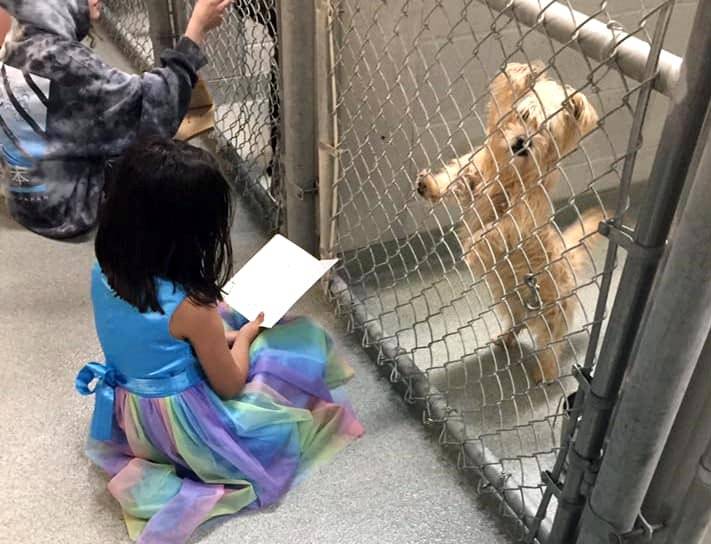 New "Tales for Tails" Program Combines Reading and Animals to Help ...