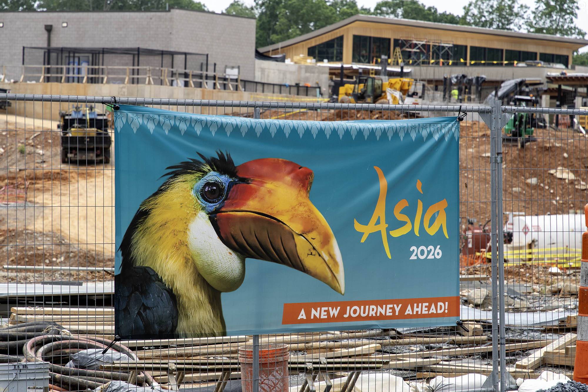 What’s New at the Zoo | New animals, Asia, and more!